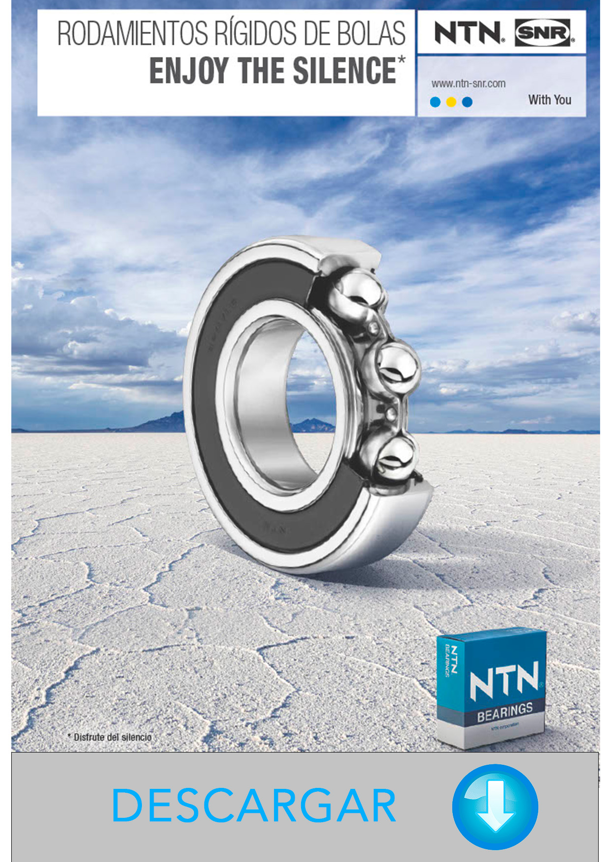CATÁLOGO DE RODAMIENTOS RÍGIDOS DE BOLAS NTN - OSN, Estanqueidad ...